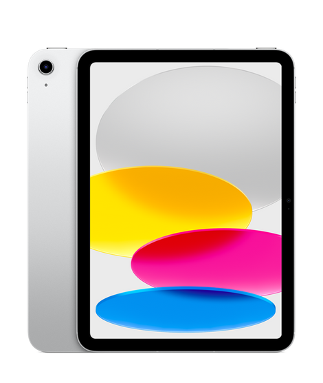 Купить Apple iPad (2022) Wi-Fi 256Gb, серебристый в СПб